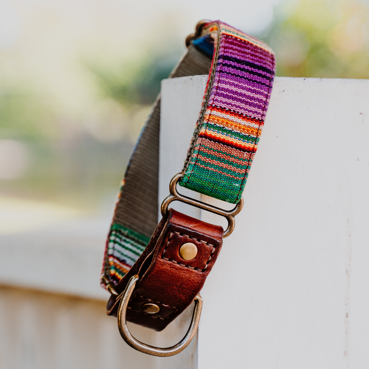 Collar Styles - Moose Wears