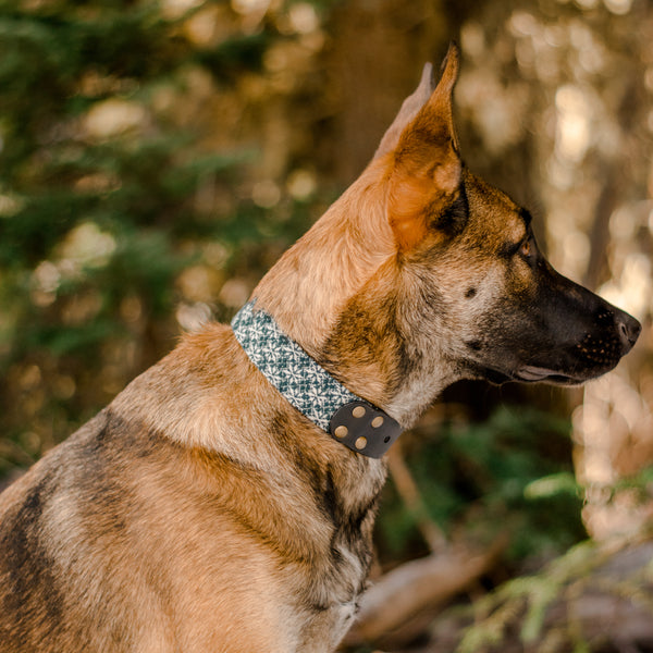 Snowfall - Woolen Dog Collar - Moose Wears