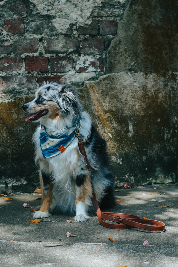 Rainier Leash - Saddle Brown - Moose Wears