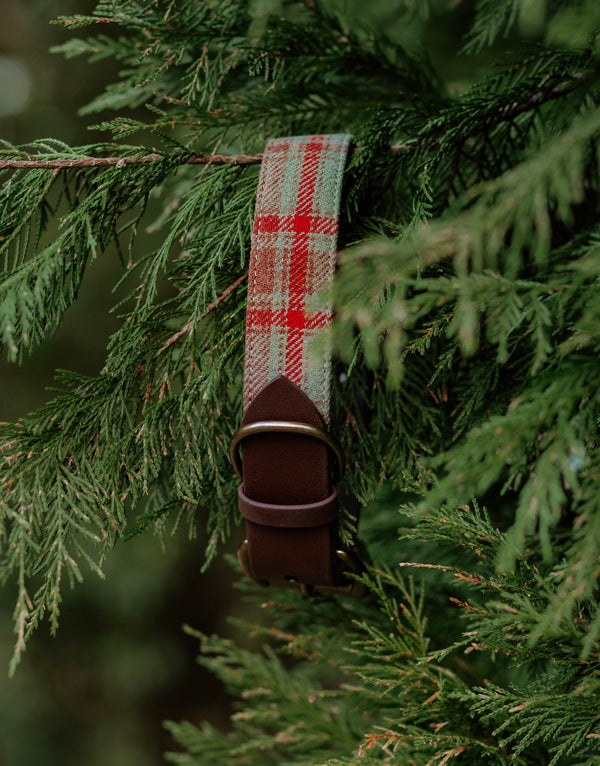 Everglade - Pendleton® Dog Collar - Moose Wears